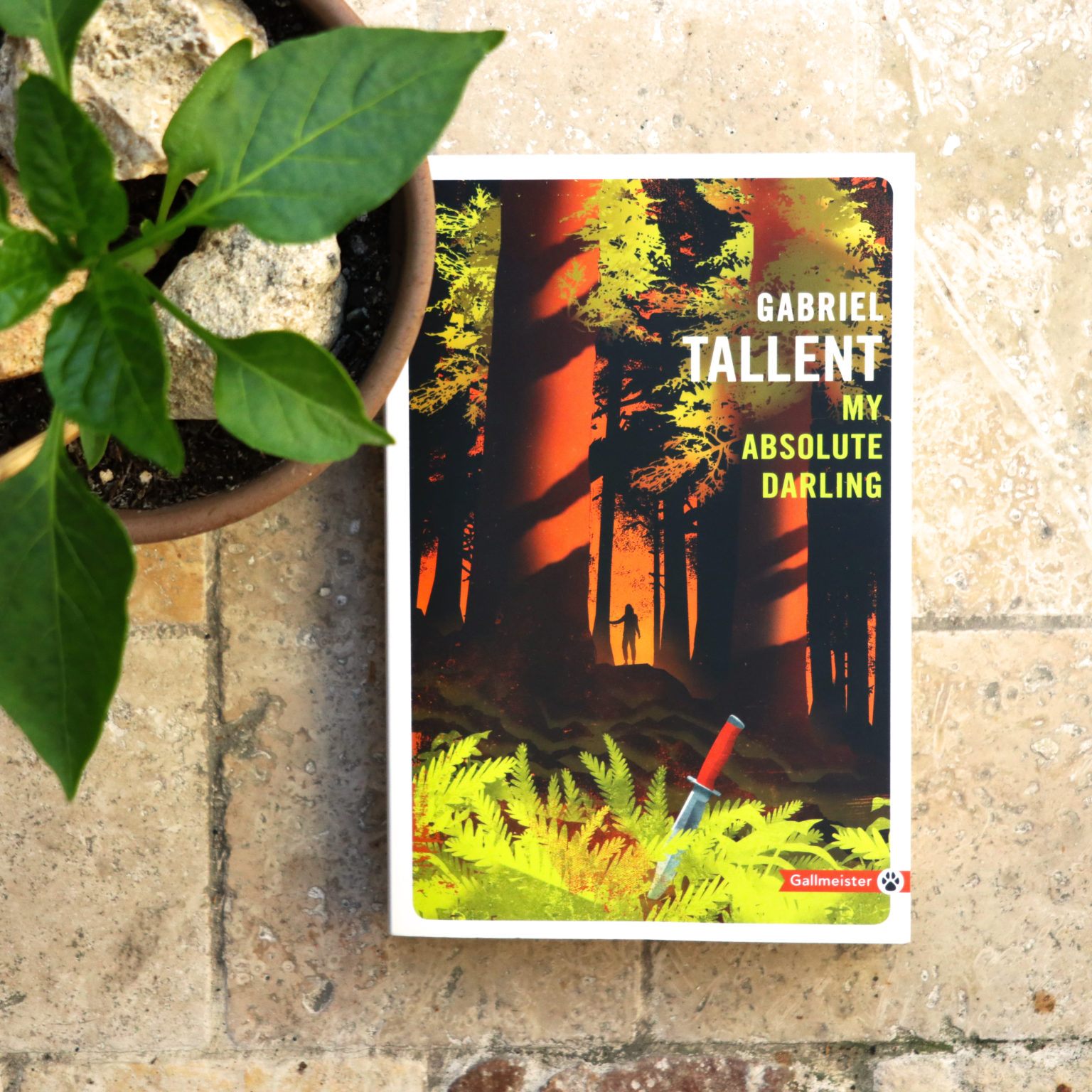 My absolute darling - Nino le Pirate